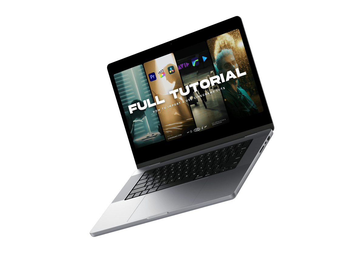 Cinematic Looks V2 | LUTs for Video | Premium Quality