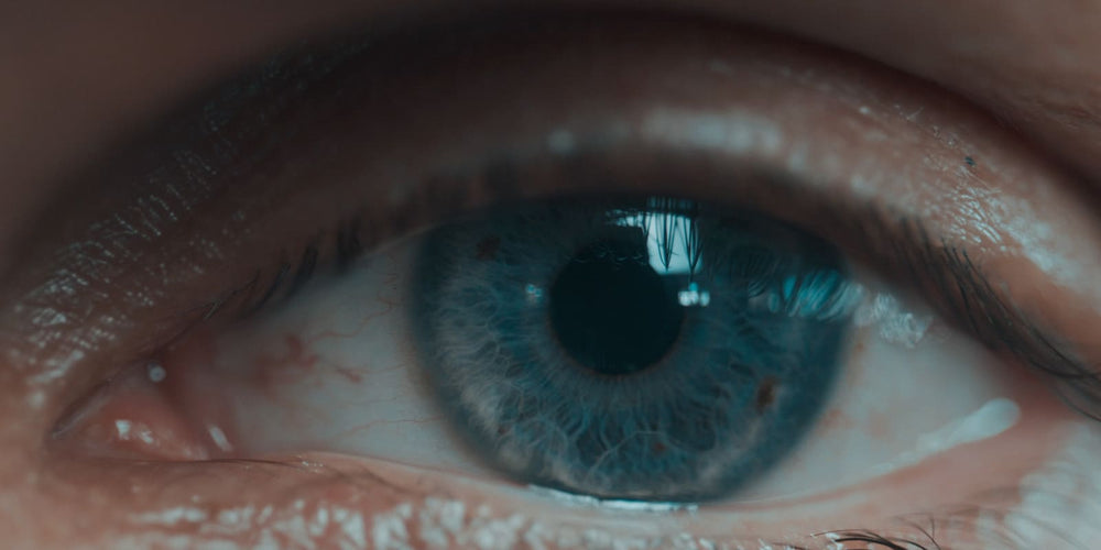 Cinematic Looks V2 | Cinematic LUTs | Showcase