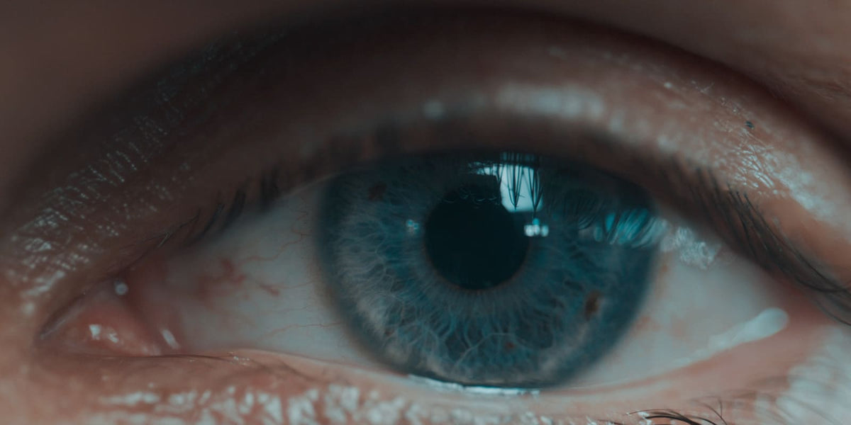 Cinematic Looks V2 | Cinematic LUTs | Showcase