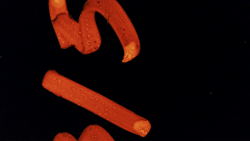 Film Artifacts & FX | Premium Overlays by Cinegrams